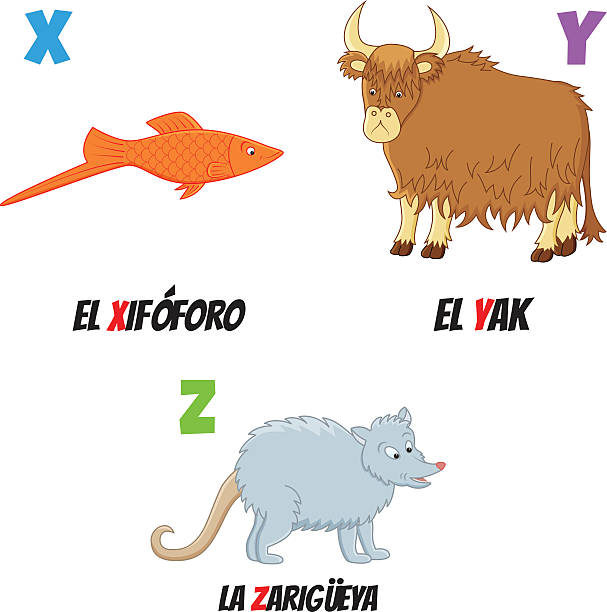 Learn Espanol Vectores Libres de Derechos - iStock Learn Espanol Vectores Libres de Derechos - iStock