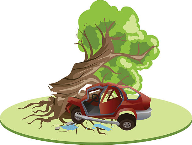 Best Car Crashed Into Tree Illustrations, Royalty-Free Vector Graphics ... Best Car Crashed Into Tree Illustrations, Royalty-Free Vector Graphics ...