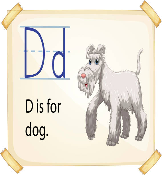 Flashcard Alphabet D Is For Dog Illustrations, Royalty-Free Vector ... Flashcard Alphabet D Is For Dog Illustrations, Royalty-Free Vector ...
