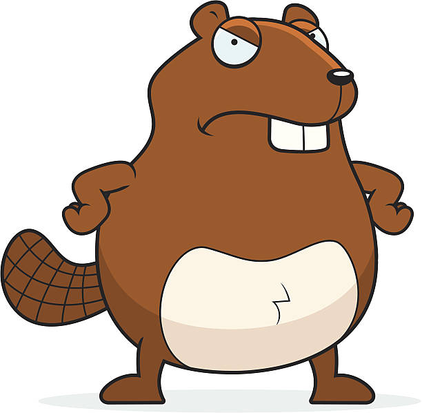 Best Cartoon Of The Angry Beavers Illustrations, Royalty-Free Vector ... Best Cartoon Of The Angry Beavers Illustrations, Royalty-Free Vector ...