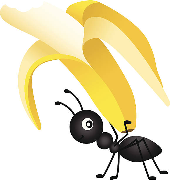 Picnic Ants Illustrations Illustrations, Royalty-Free Vector Graphics ... Picnic Ants Illustrations Illustrations, Royalty-Free Vector Graphics ...