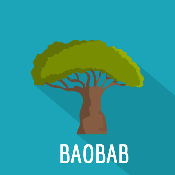 Best Baobab Tree Illustrations, Royalty-Free Vector Graphics & Clip Art ... Best Baobab Tree Illustrations, Royalty-Free Vector Graphics & Clip Art ...