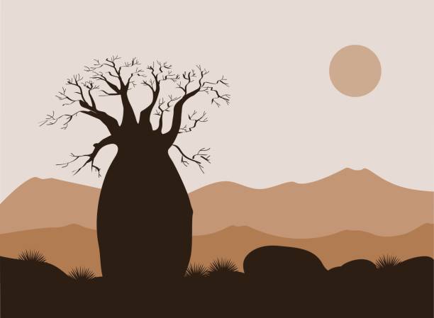 Best Baobab Tree Illustrations, Royalty-Free Vector Graphics & Clip Art ... Best Baobab Tree Illustrations, Royalty-Free Vector Graphics & Clip Art ...