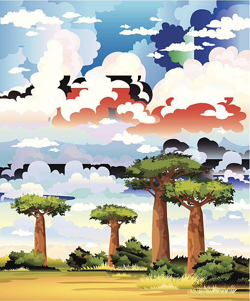Best Baobab Tree Illustrations, Royalty-Free Vector Graphics & Clip Art ... Best Baobab Tree Illustrations, Royalty-Free Vector Graphics & Clip Art ...