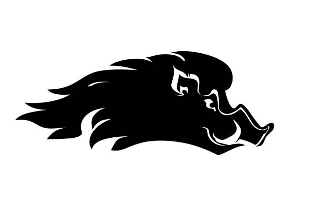 Best Wild Boar Head Silhouette Illustrations, Royalty-Free Vector ... Best Wild Boar Head Silhouette Illustrations, Royalty-Free Vector ...