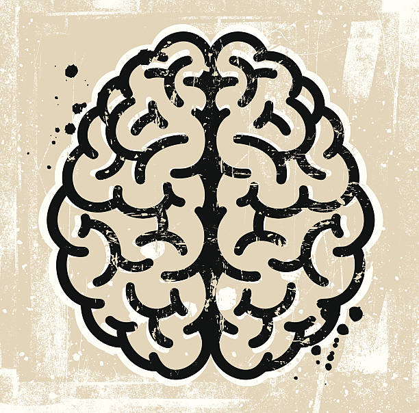 Frontal Lobe Illustrations, Royalty-Free Vector Graphics & Clip Art ... Frontal Lobe Illustrations, Royalty-Free Vector Graphics & Clip Art ...