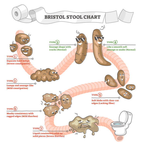 Stool Illustrations, Royalty-Free Vector Graphics & Clip Art - iStock Stool Illustrations, Royalty-Free Vector Graphics & Clip Art - iStock