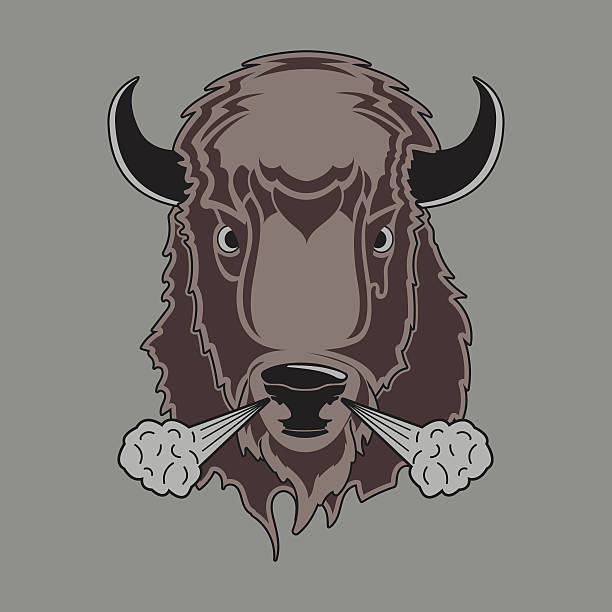 Bison Stampede stock vectors - iStock Bison Stampede stock vectors - iStock