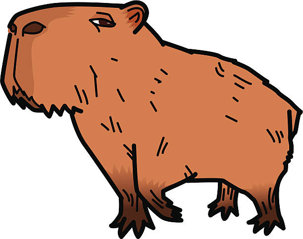 Capybara stock vectors - iStock Capybara stock vectors - iStock