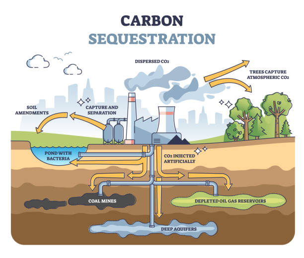 Carbon Capture And Sequestration Illustrations, Royalty-Free Vector ... Carbon Capture And Sequestration Illustrations, Royalty-Free Vector ...