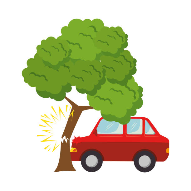Best Car Crashed Into Tree Illustrations, Royalty-Free Vector Graphics ... Best Car Crashed Into Tree Illustrations, Royalty-Free Vector Graphics ...