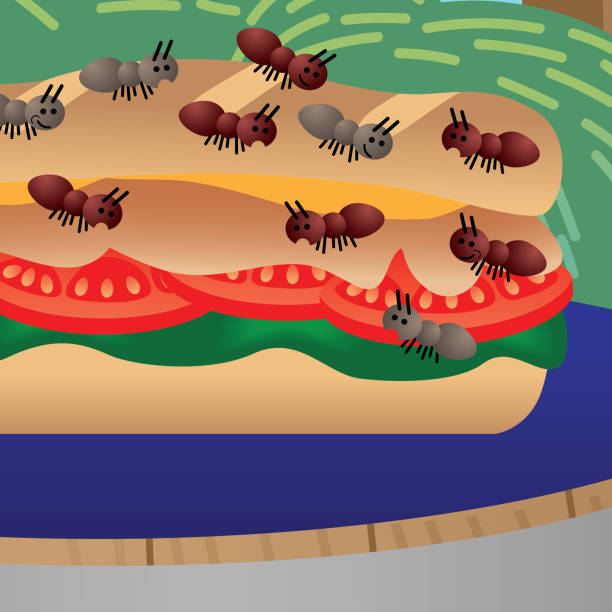Picnic Ants Illustrations, Royalty-Free Vector Graphics & Clip Art - iStock Picnic Ants Illustrations, Royalty-Free Vector Graphics & Clip Art - iStock