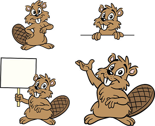 Royalty Free Beaver Clip Art, Vector Images & Illustrations - iStock Royalty Free Beaver Clip Art, Vector Images & Illustrations - iStock