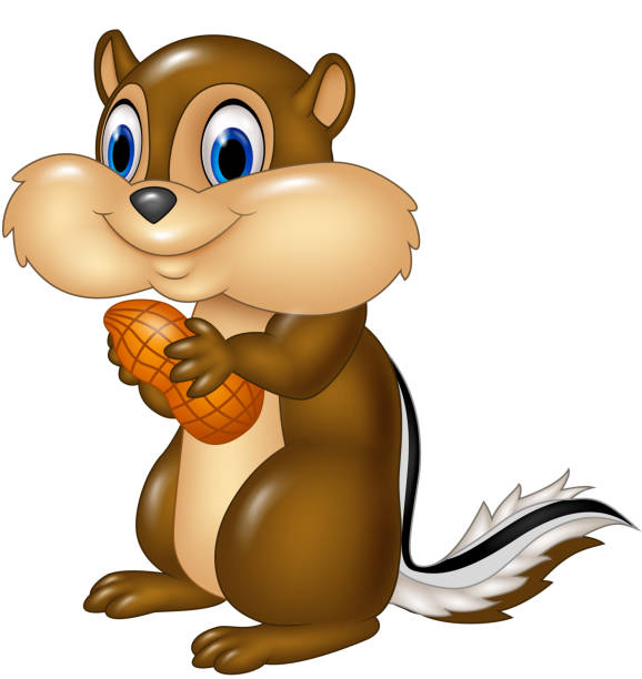 Royalty Free Chipmunk Clip Art, Vector Images & Illustrations - iStock Royalty Free Chipmunk Clip Art, Vector Images & Illustrations - iStock