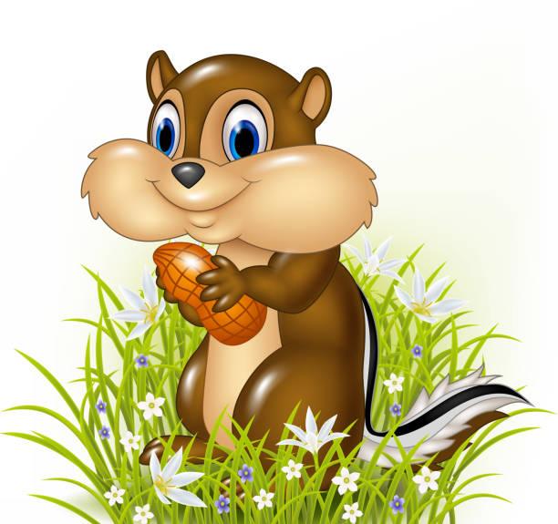 Royalty Free Chipmunk Clip Art, Vector Images & Illustrations - iStock Royalty Free Chipmunk Clip Art, Vector Images & Illustrations - iStock