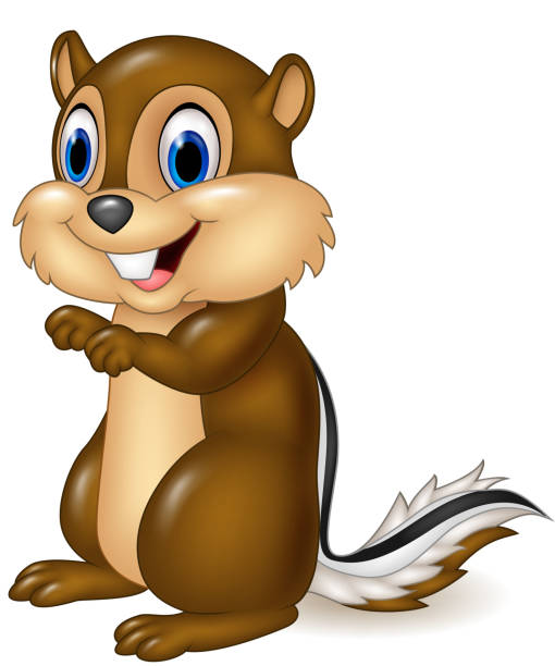 Royalty Free Chipmunk Clip Art, Vector Images & Illustrations - iStock Royalty Free Chipmunk Clip Art, Vector Images & Illustrations - iStock