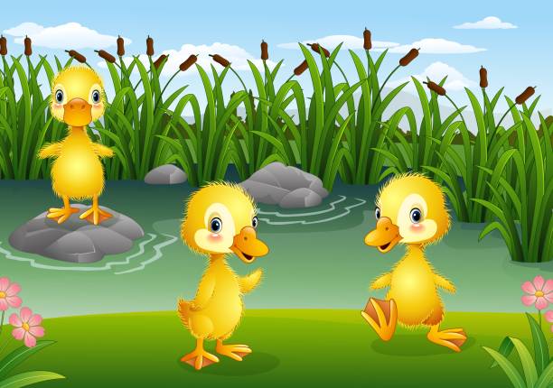 Best Farm Pond Illustrations, Royalty-Free Vector Graphics & Clip Art ... Best Farm Pond Illustrations, Royalty-Free Vector Graphics & Clip Art ...