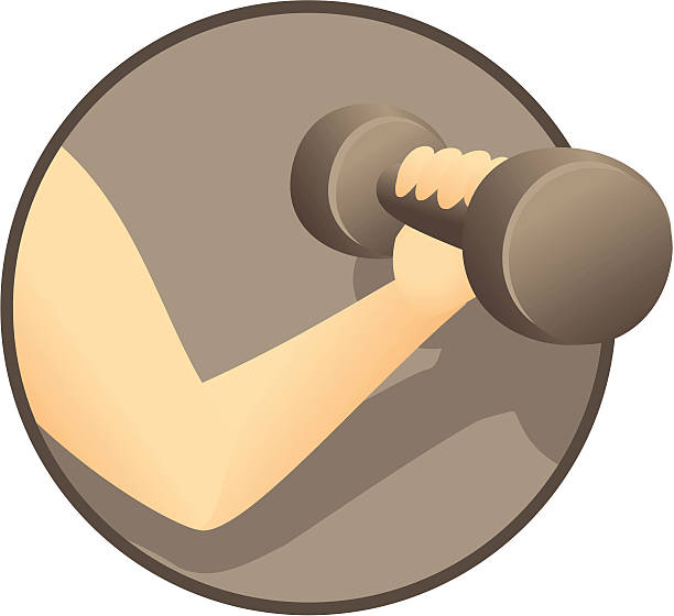 Musculation Des Biceps Vectoriels et illustrations libres de droits ... Musculation Des Biceps Vectoriels et illustrations libres de droits ...