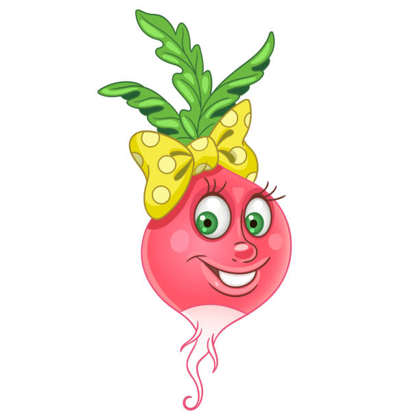 Royalty Free Rutabaga Clip Art, Vector Images & Illustrations - iStock Royalty Free Rutabaga Clip Art, Vector Images & Illustrations - iStock