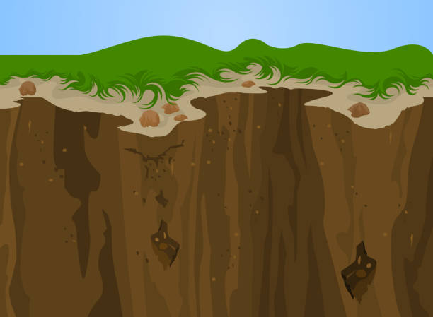 Soil Erosion Illustrations, Royalty-Free Vector Graphics & Clip Art ... Soil Erosion Illustrations, Royalty-Free Vector Graphics & Clip Art ...