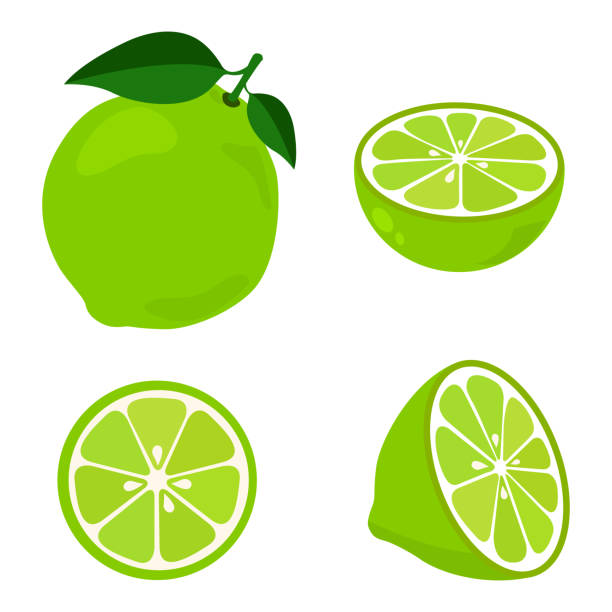 Lime Illustrations, Royalty-Free Vector Graphics & Clip Art - iStock Lime Illustrations, Royalty-Free Vector Graphics & Clip Art - iStock