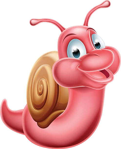 Best Snail Vs Slug Illustrations, Royalty-Free Vector Graphics & Clip ... Best Snail Vs Slug Illustrations, Royalty-Free Vector Graphics & Clip ...