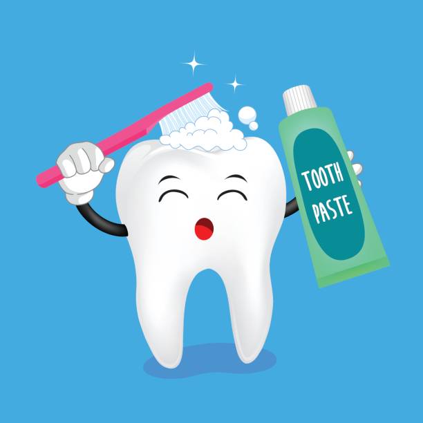 Best Brushing Teeth Illustrations, Royalty-Free Vector Graphics & Clip ... Best Brushing Teeth Illustrations, Royalty-Free Vector Graphics & Clip ...