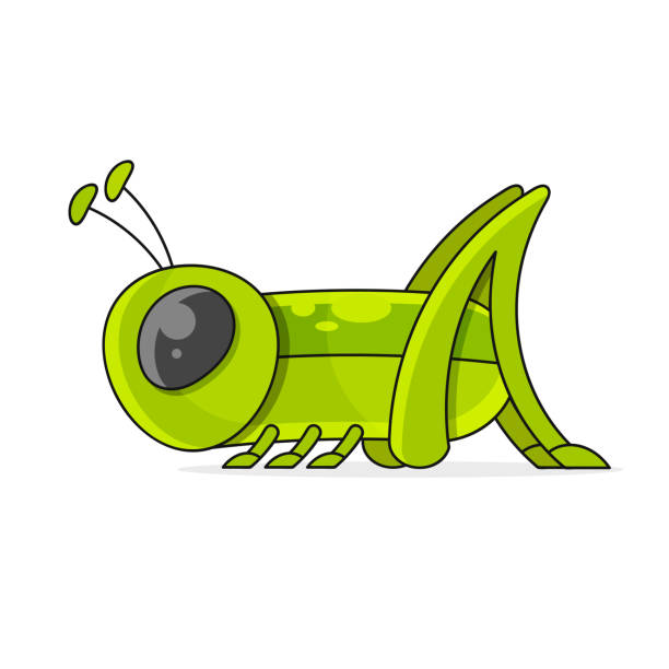 Funny Grasshopper Jumping Illustrations, Royalty-Free Vector Graphics ... Funny Grasshopper Jumping Illustrations, Royalty-Free Vector Graphics ...