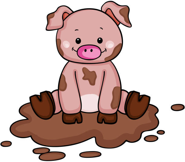 Best Pig In Mud Illustrations, Royalty-Free Vector Graphics & Clip Art ... Best Pig In Mud Illustrations, Royalty-Free Vector Graphics & Clip Art ...