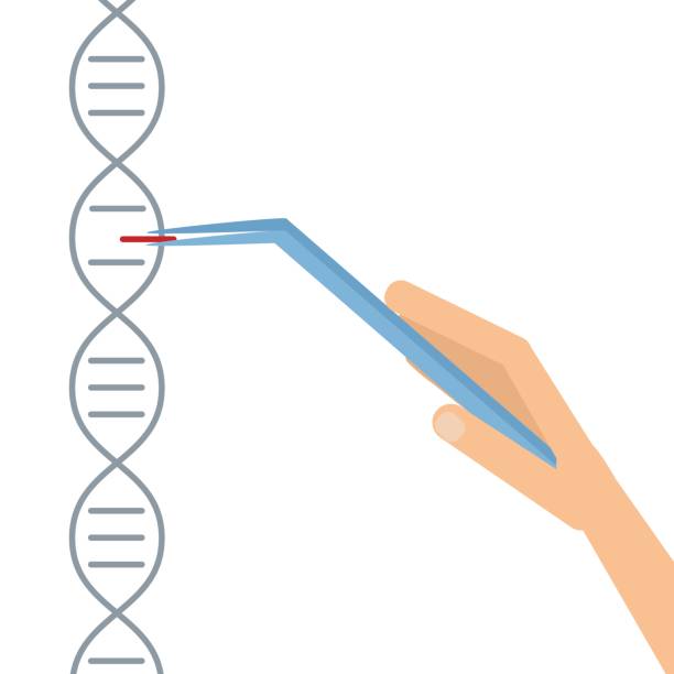 Best Pcr Device Illustrations, Royalty-Free Vector Graphics & Clip Art ... Best Pcr Device Illustrations, Royalty-Free Vector Graphics & Clip Art ...