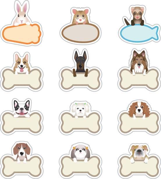 Pet Name Tag Illustrations, Royalty-Free Vector Graphics & Clip Art ... Pet Name Tag Illustrations, Royalty-Free Vector Graphics & Clip Art ...