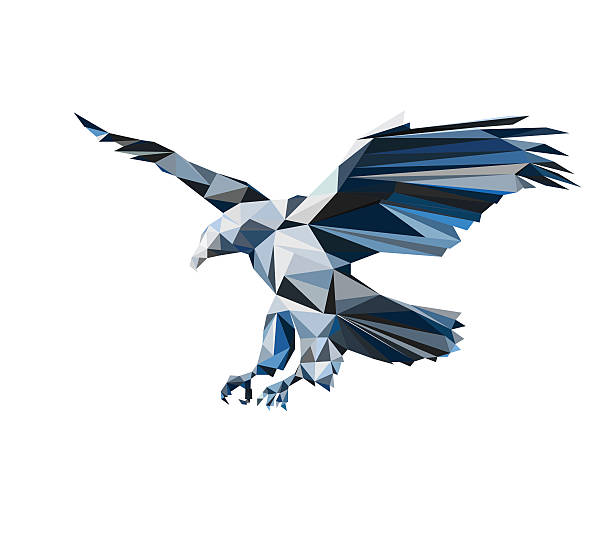 Best Eagle Feather Illustrations, Royalty-Free Vector Graphics & Clip ... Best Eagle Feather Illustrations, Royalty-Free Vector Graphics & Clip ...