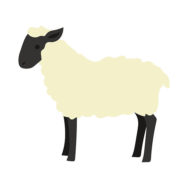 Sheep Illustrations, Royalty-Free Vector Graphics & Clip Art - iStock Sheep Illustrations, Royalty-Free Vector Graphics & Clip Art - iStock