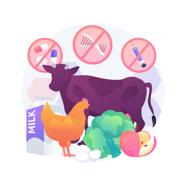 Gráficos vectoriales de Hormonas Vegetales - iStock Gráficos vectoriales de Hormonas Vegetales - iStock