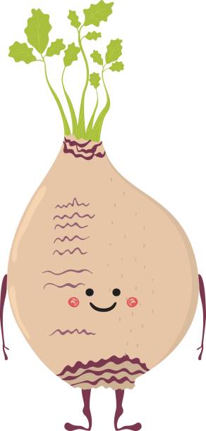Royalty Free Rutabaga Clip Art, Vector Images & Illustrations - iStock Royalty Free Rutabaga Clip Art, Vector Images & Illustrations - iStock
