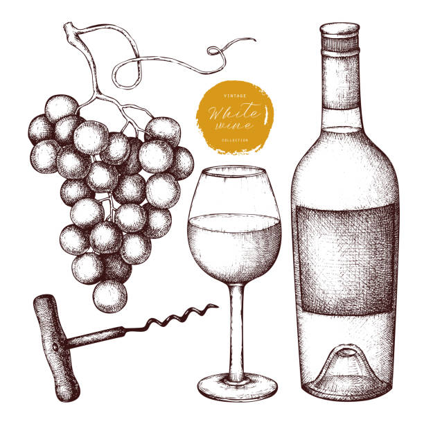 White Wine Bottle Illustrations, Royalty-Free Vector Graphics & Clip ... White Wine Bottle Illustrations, Royalty-Free Vector Graphics & Clip ...