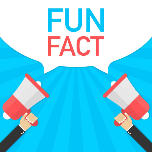 Fun Fact Illustrations, Royalty-Free Vector Graphics & Clip Art - iStock Fun Fact Illustrations, Royalty-Free Vector Graphics & Clip Art - iStock