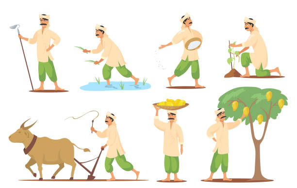 Indian Farmer Portrait Illustrations, Royalty-Free Vector Graphics ... Indian Farmer Portrait Illustrations, Royalty-Free Vector Graphics ...