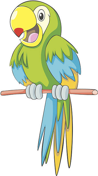 Talking Parrot Illustrations, Royalty-Free Vector Graphics & Clip Art ... Talking Parrot Illustrations, Royalty-Free Vector Graphics & Clip Art ...