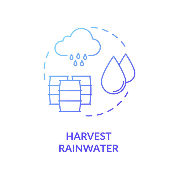 Rainwater Harvesting Barrel Illustrations, Royalty-Free Vector Graphics ... Rainwater Harvesting Barrel Illustrations, Royalty-Free Vector Graphics ...