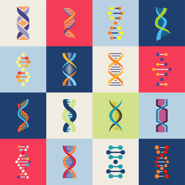 Bioinformatics Illustrations Illustrations, Royalty-Free Vector ... Bioinformatics Illustrations Illustrations, Royalty-Free Vector ...
