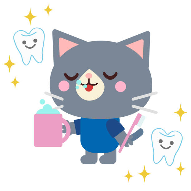 Cat Brushing Teeth Illustrations, Royalty-Free Vector Graphics & Clip ... Cat Brushing Teeth Illustrations, Royalty-Free Vector Graphics & Clip ...
