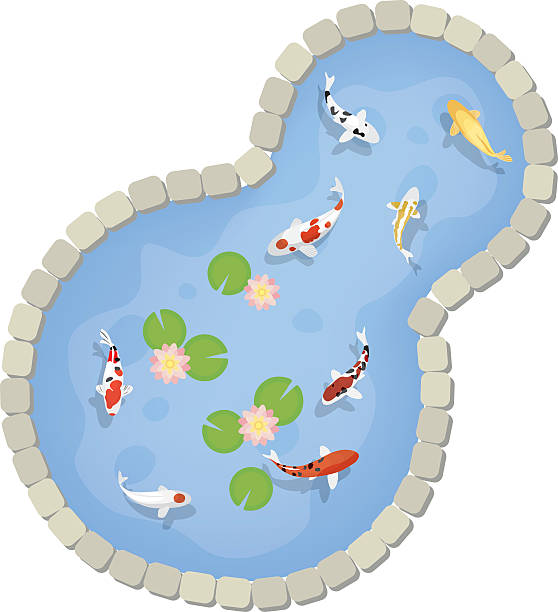 Pond Illustrations, Royalty-Free Vector Graphics & Clip Art - iStock Pond Illustrations, Royalty-Free Vector Graphics & Clip Art - iStock