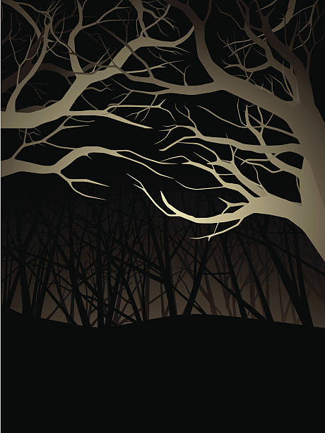 Tree Canopy Illustrations, Royalty-Free Vector Graphics & Clip Art - iStock Tree Canopy Illustrations, Royalty-Free Vector Graphics & Clip Art - iStock