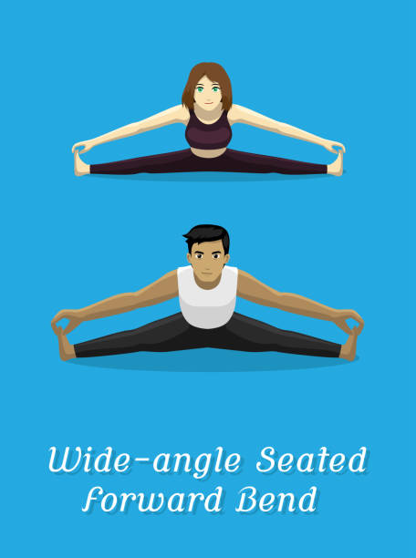 Wide Angle Seated Forward Bend Illustrations, Royalty-Free Vector ... Wide Angle Seated Forward Bend Illustrations, Royalty-Free Vector ...
