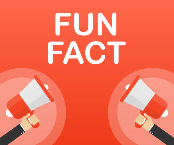 Fun Fact Illustrations, Royalty-Free Vector Graphics & Clip Art - iStock Fun Fact Illustrations, Royalty-Free Vector Graphics & Clip Art - iStock