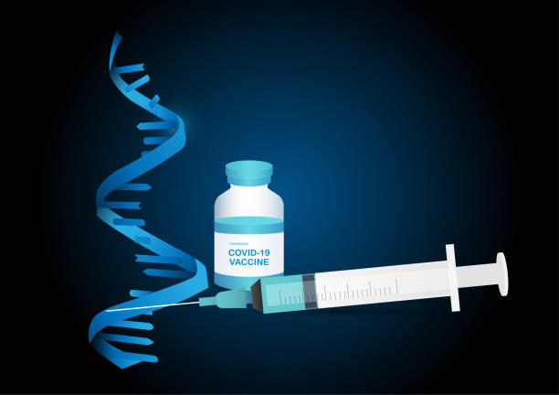 Messenger Rna Illustrations Illustrations, Royalty-Free Vector Graphics ... Messenger Rna Illustrations Illustrations, Royalty-Free Vector Graphics ...
