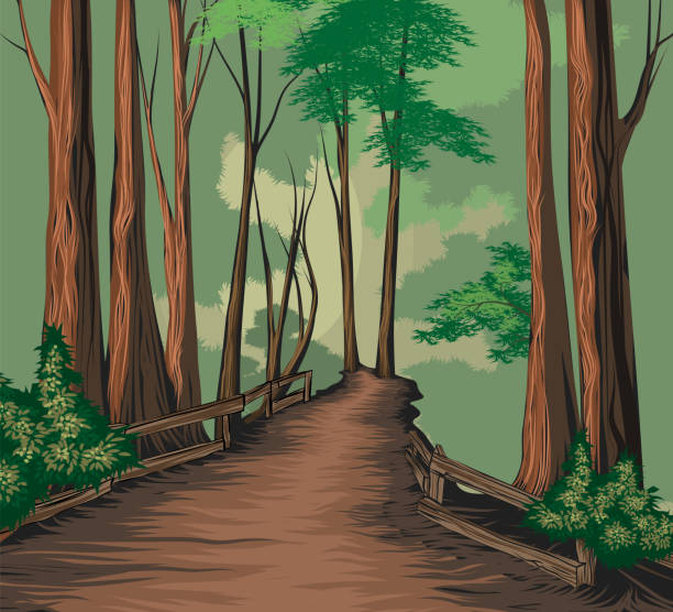 Jungle Path Illustrations, Royalty-Free Vector Graphics & Clip Art - iStock Jungle Path Illustrations, Royalty-Free Vector Graphics & Clip Art - iStock