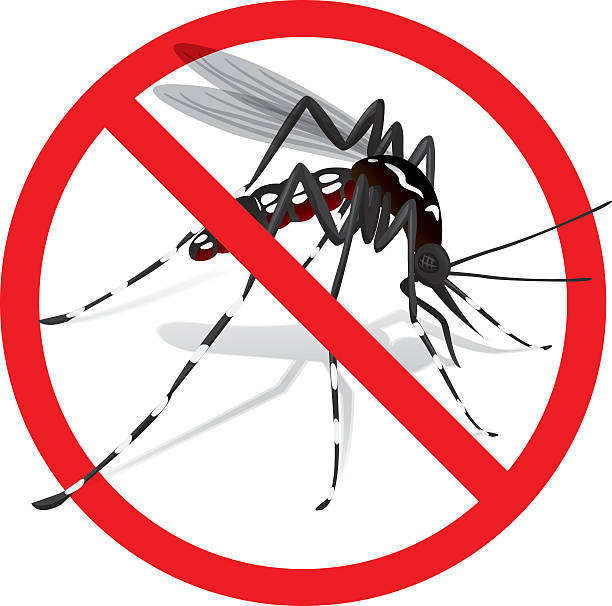 Best Mosquito Illustrations, Royalty-Free Vector Graphics & Clip Art ... Best Mosquito Illustrations, Royalty-Free Vector Graphics & Clip Art ...