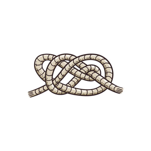 Bowline Knot Illustrations, Royalty-Free Vector Graphics & Clip Art ... Bowline Knot Illustrations, Royalty-Free Vector Graphics & Clip Art ...
